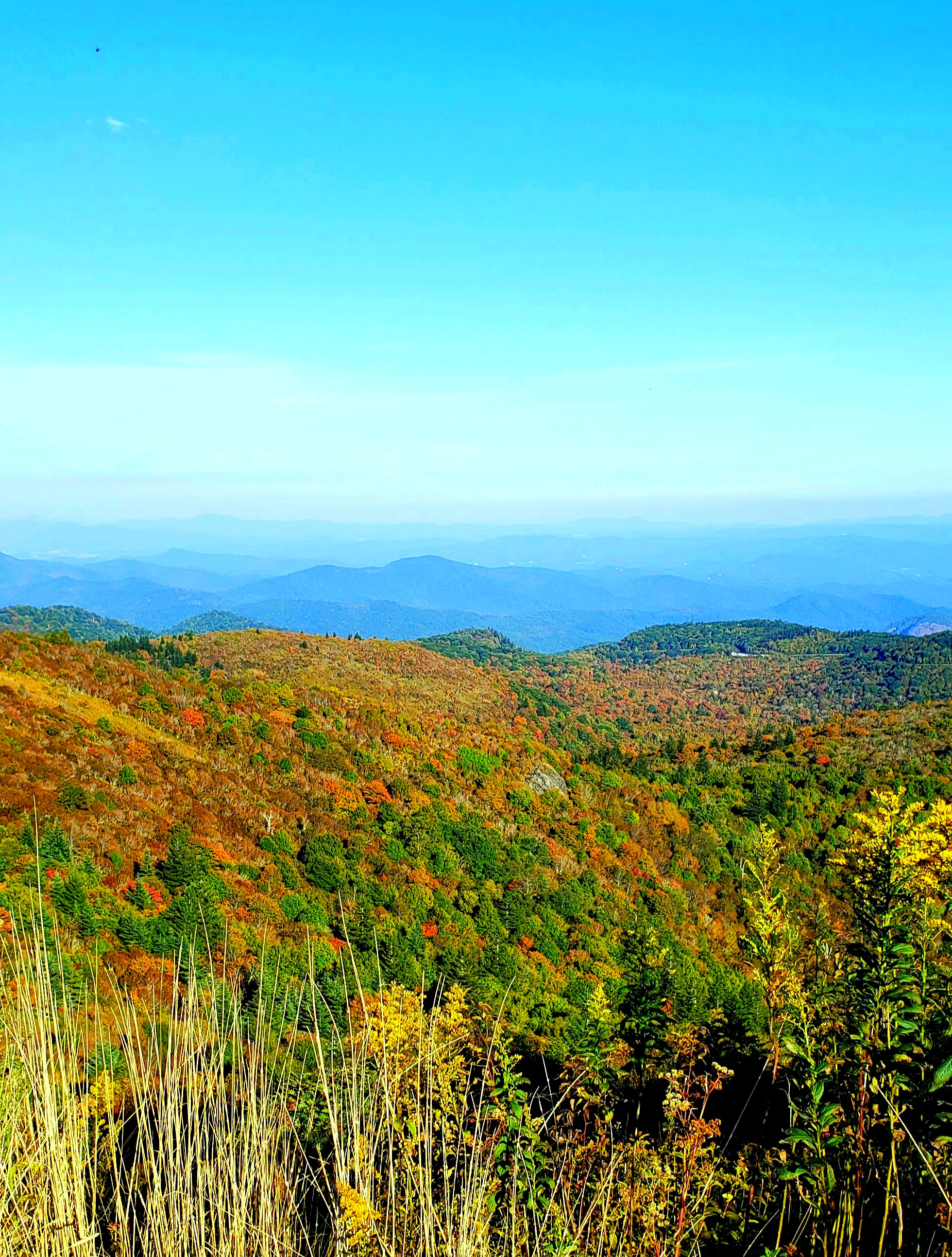 Face Forward – Love: